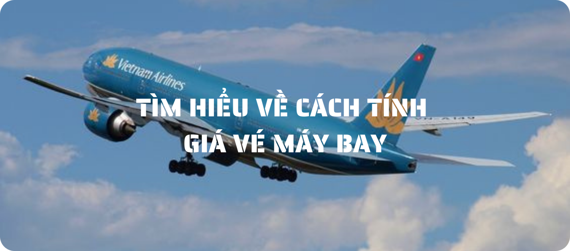 Tìm Hiểu Về Cách Tính Giá Vé Máy Bay - Linh Long Group