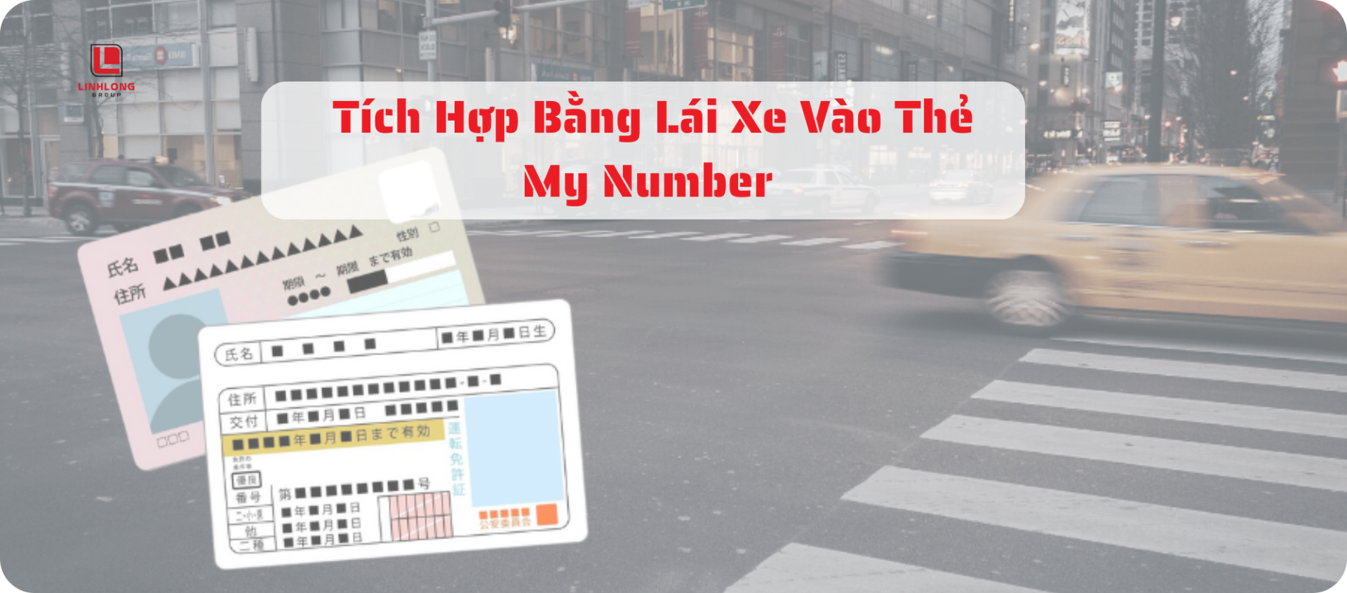 Tích Hợp Bằng Lái Xe Vào Thẻ My Number - Linh Long Group